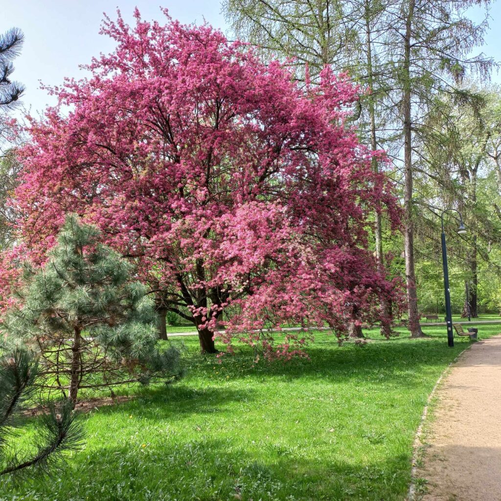 Park Praski | Zarząd Zieleni m.st. Warszawy